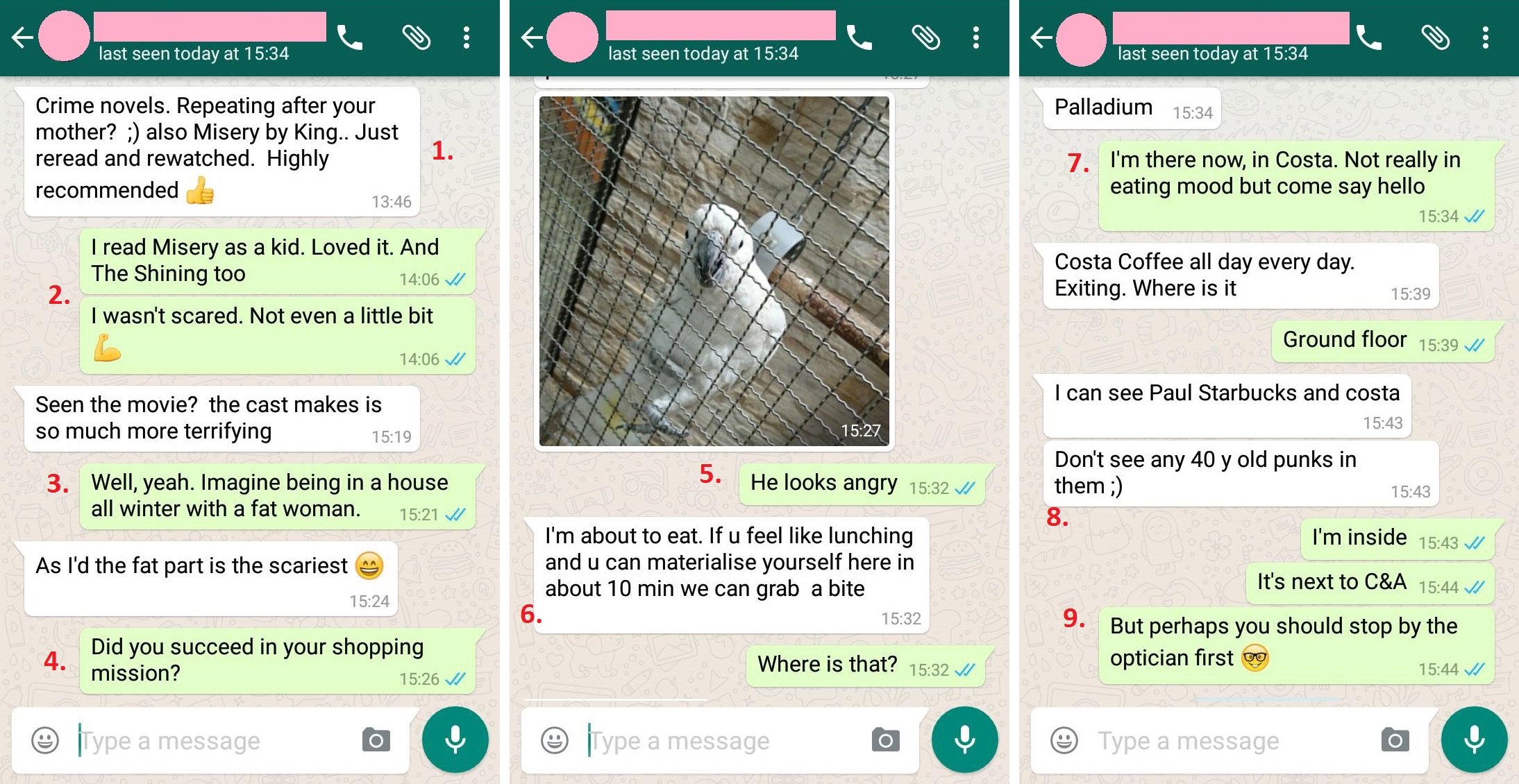 Lay Reports | Krauser PUA